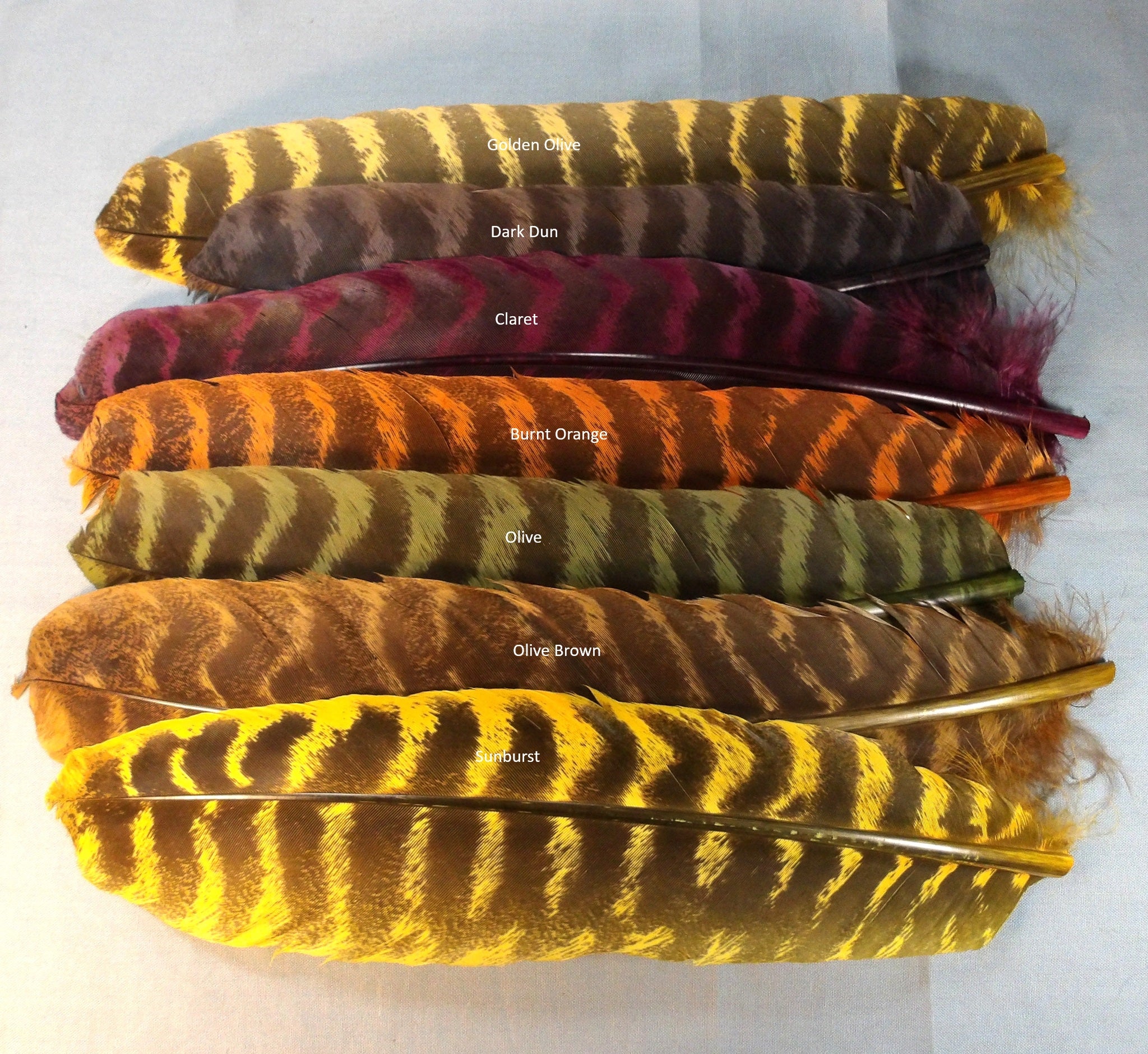 FlyWaxx Dyed Turkey Wing Quills – Morning Dew Angler