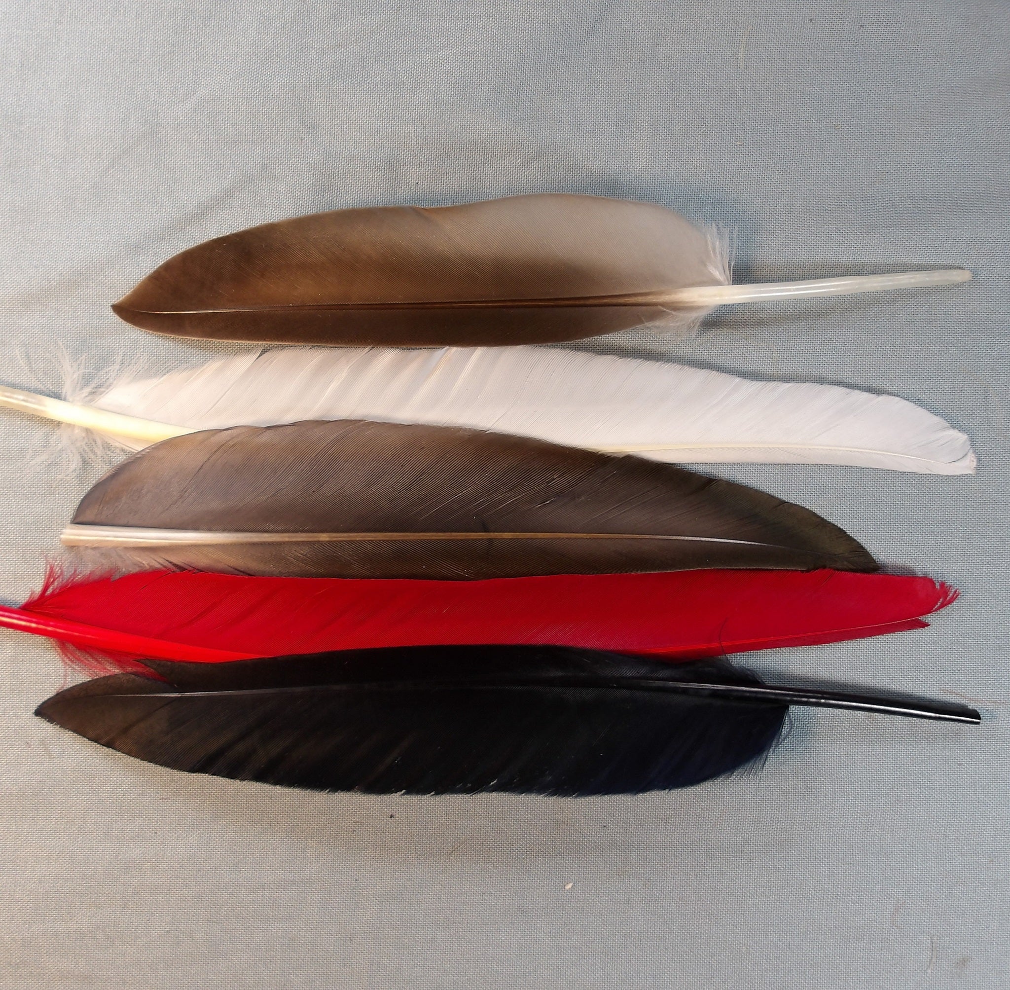 Natures Spirit Duck Wing Quills – Morning Dew Angler