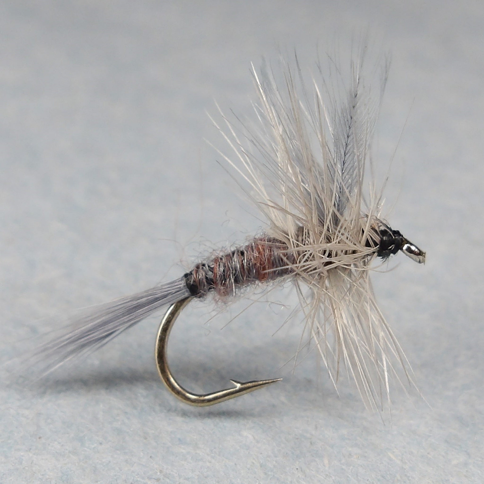 Slate Drake – Morning Dew Angler